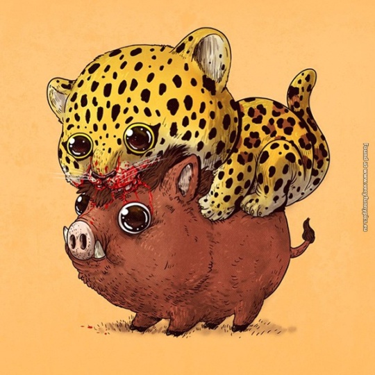 Cute but deadly predators (21 pictures) - Very Funny Pics