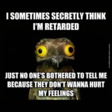 Bird Archives - Very Funny Pics