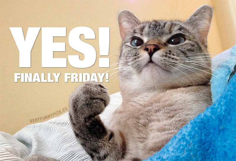 That Friday Feeling Very Funny Pics That Friday Feeling Very Funny Pics