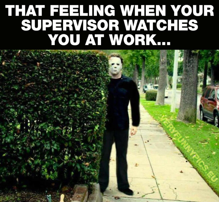 Somebody's watching me - Very Funny Pics